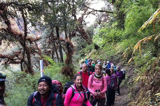 Langtang Valley Trek - The Sum Up