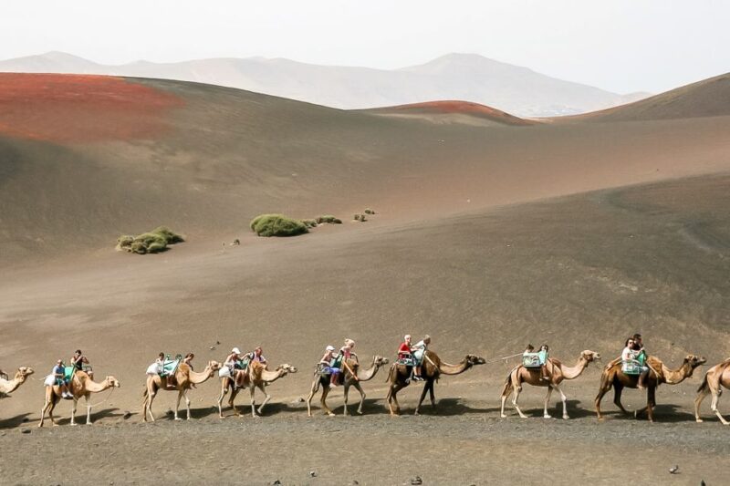 Lanzarote: Timanfaya National Park Volcanic Craters Tour - Who Will Love This Tour?