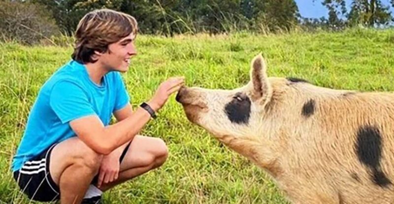Laupahoehoe: Farm Animal Sanctuary Private Tour - The Value of the Experience