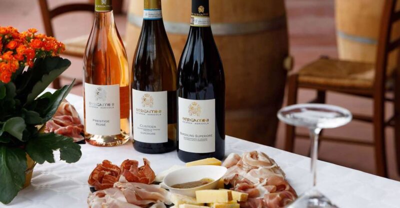 Lazise: Winery Tour with Garda Wines and Food Tasting - Who Will Love This Tour?