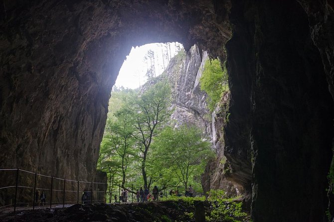 Lipica Stud Farm and Skocjan Caves from Piran or Portoroz or Izola - The Logistics: What to Know Before You Go
