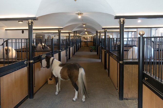 Lipica Stud Farm & Skocjan Caves - Small Group Tour from Koper - FAQ