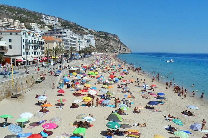 Lisbon: Wine Tour Sesimbra, Arrábida Park & Setúbal - Private - Who Will Love This Tour?