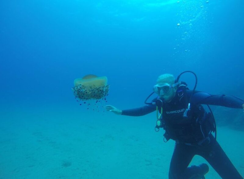 Lloret de Mar: Scuba Diving Experience no License Required - Group Size, Duration, and Accessibility