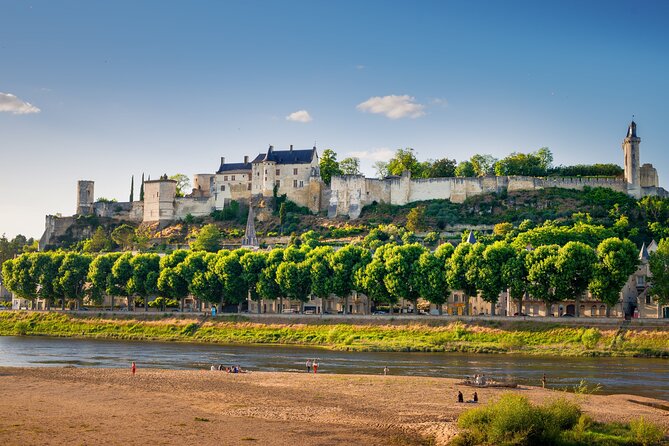Loire Valley Wines Private Day Tour with Tastings from Tours or Amboise - Optional Gourmet Lunch: A View Over Vineyards