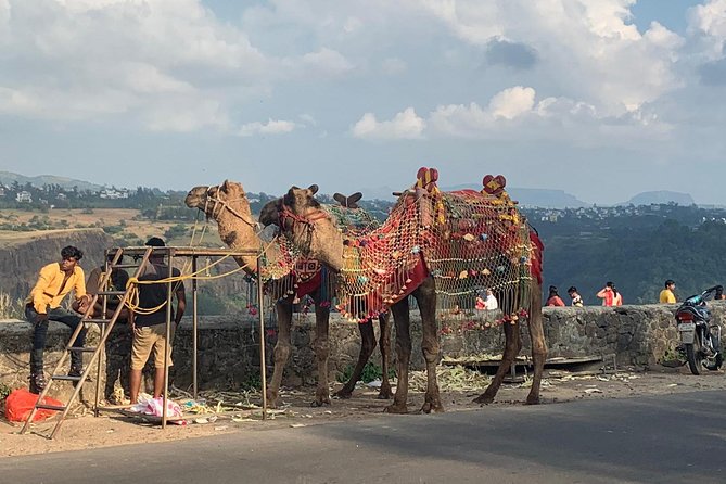 Lonavla Hill Station Tour - Who Should Book This Tour?