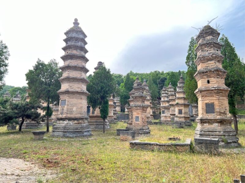 Luoyang Private Day Tour to Shaolin Temple&Longmen Grottoes - Who Will Appreciate This Tour?
