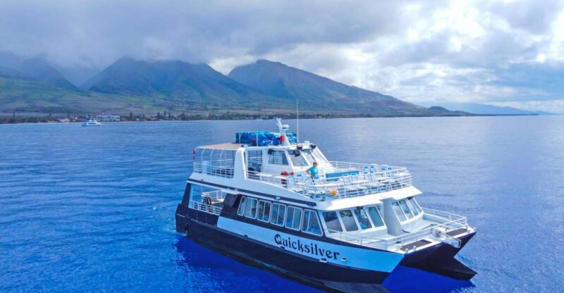 Ma'alaea Harbor: Whale Watching Tour Aboard Power Catamaran - The Sum Up