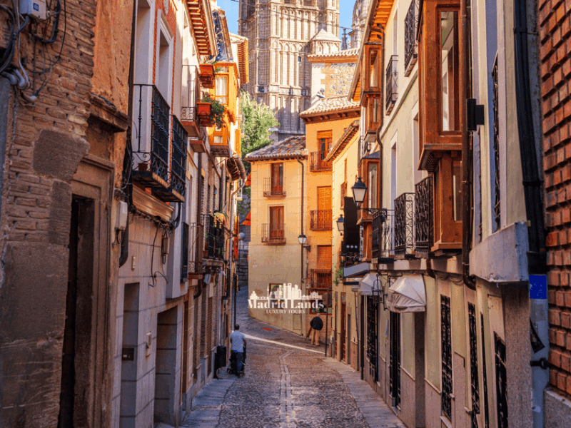Madrid: Luxury Winnery & Toledo Tour - Final Thoughts