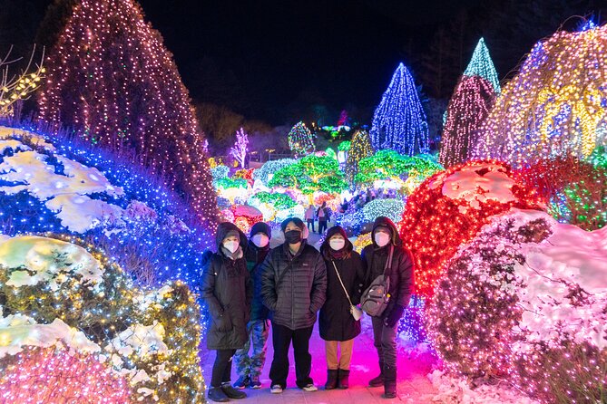 Make Your Trip Around Nami Island With an Expert(DSLR option) - Transportation and Timing