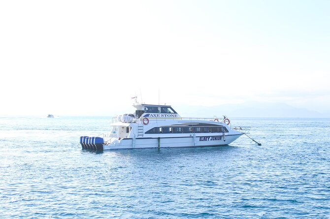 Manta Bay Snorkeling Adventure with Kelingking Beach Nusa Penida All Inclusive - The Sum Up