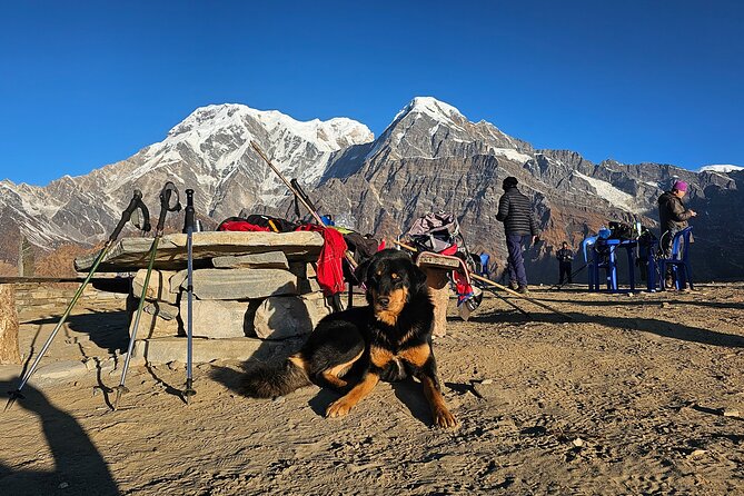Mardi Himal Trek - Final Thoughts