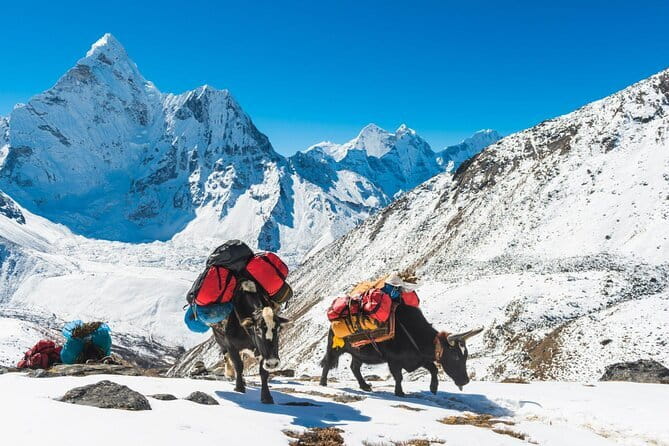 Mardi Himal - Who Should Consider This Trek?