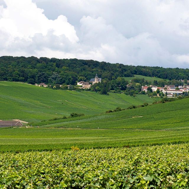Marne: 2-Day Champagne Tour with Tastings and Lunches - What Travelers Say: Authentic Feedback