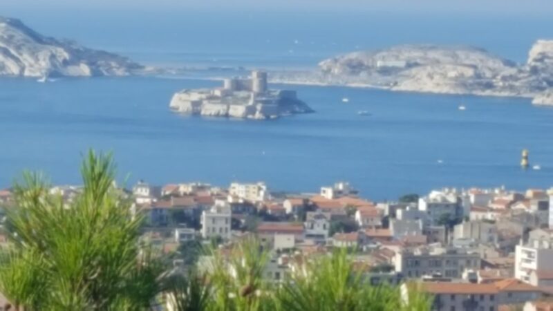 Marseille City Tour Half-Day - The Value Proposition