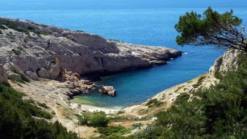 Marseille : Private Custom Tour with a Local Guide - The Value of This Experience