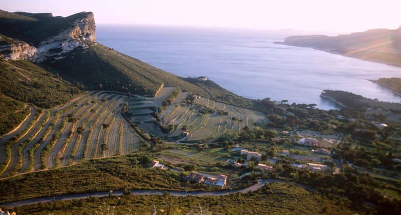 Marseille Vieux Port & Wine Tasting - Private Tour - What’s Included & What’s Not