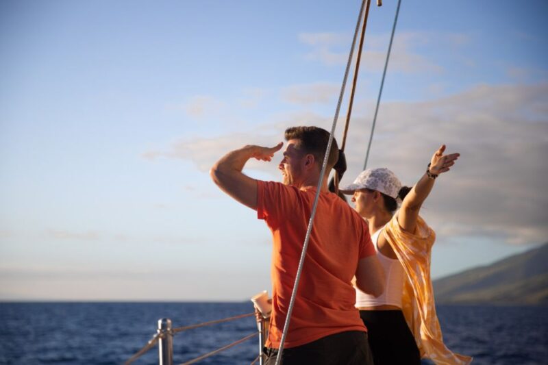 Maui: Morning Sail with the Whales Ma'alaea - The Sum Up