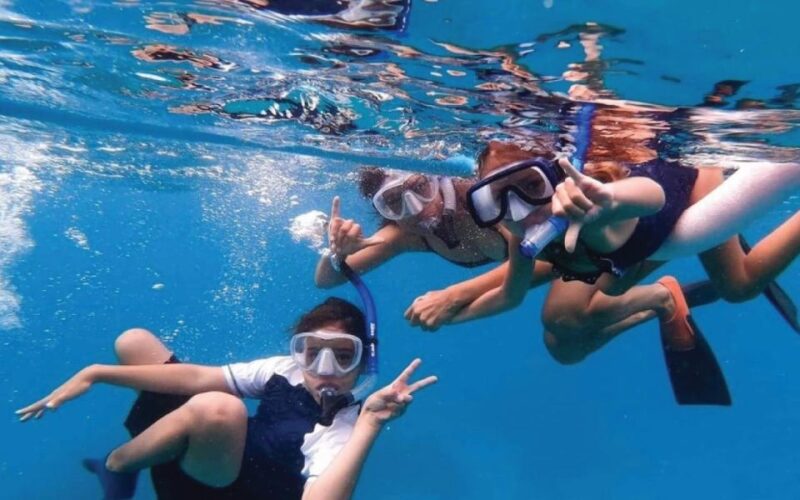 Maui: Semi-Private 3 Hour Eco-Raft Turtle Snorkel Tour - What You Get for the Price