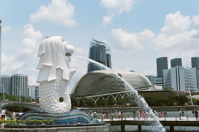 MBCC & HFCC - Cruise Terminal to City Hotel Transfer - The Value for Money