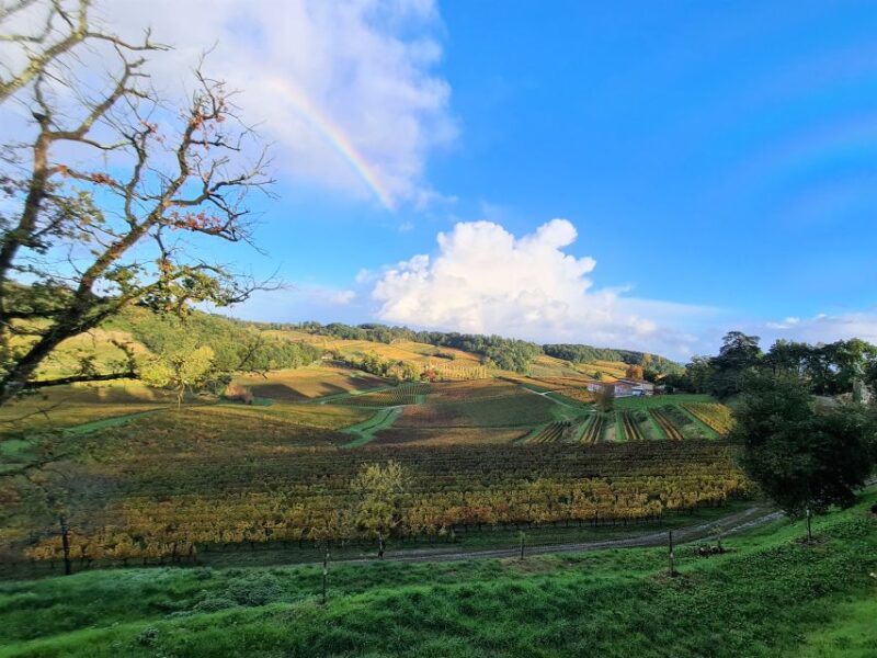 Médoc Morning Wine Tour - Winery & Tastings - Final Thoughts: Who Should Book This Tour?