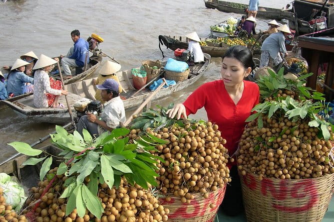 Mekong 2-Day Tour Floating Market-Bird Sanctuary-Flower Village - Analyzing the Tour’s Value