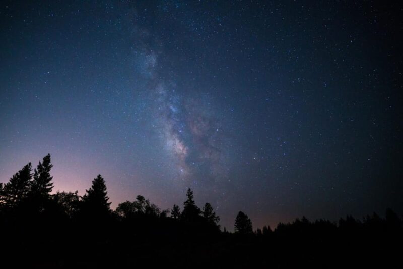 Mendocino County: Moonlight Railbike Tour - The Experience: What Travelers Say