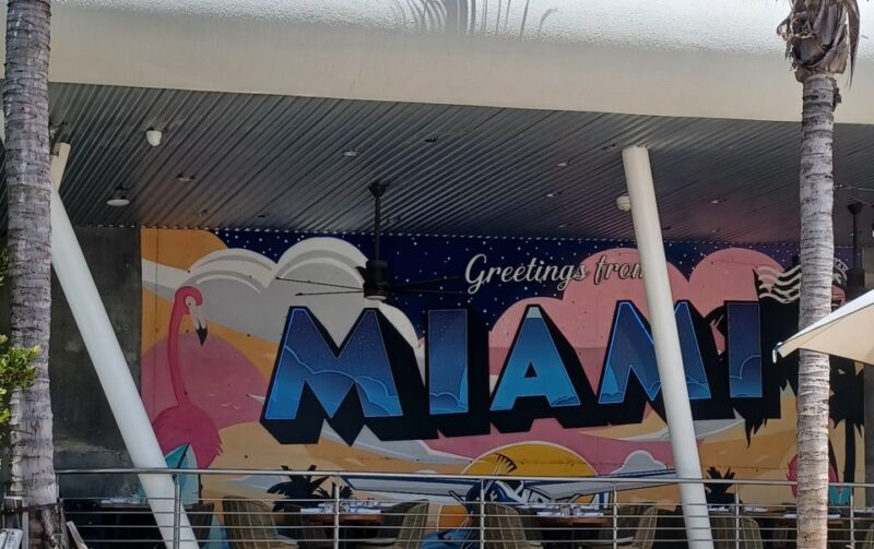 Miami City Tour - Wynwood Walls and Miami Design District