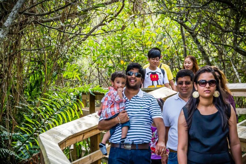 Miami: Everglades Safari Park Airboat Tour - The Value of the Experience