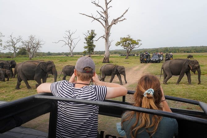 Minneriya National Park Private Safari Tour - The Sum Up: Who Will Love This Safari?