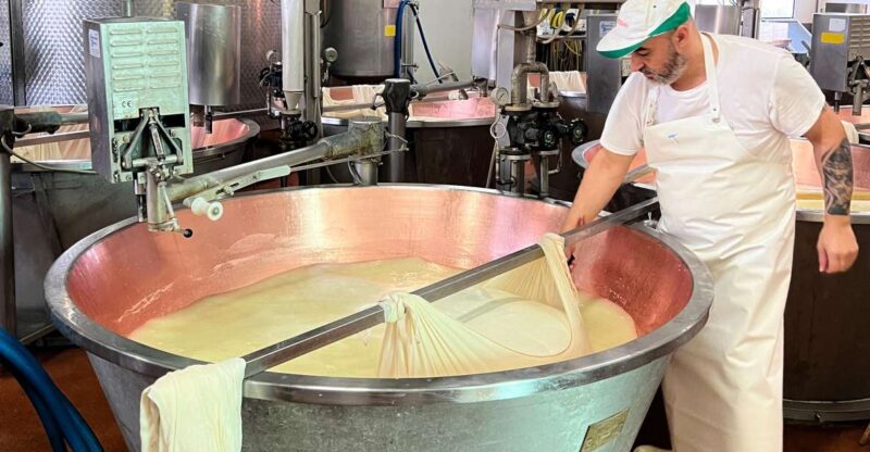 Modena/Bologna: Ferrari, Lambo, Cheese, Vinegar Tour w/Lunch - Authenticity and Insights