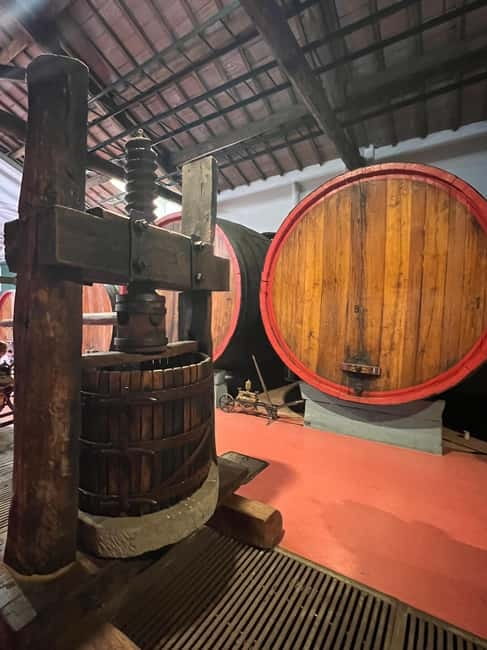 Modena: Parmesan, Balsamic Vinegar, Wine Tour + Lunch - The Practicalities: Transportation, Timing, and Group Size