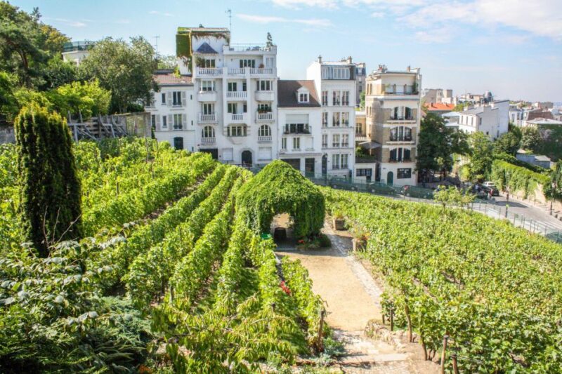 Montmartre & Sacré Coeur: 2.5-Hour Walking Tour - Authentic Experiences & Tips