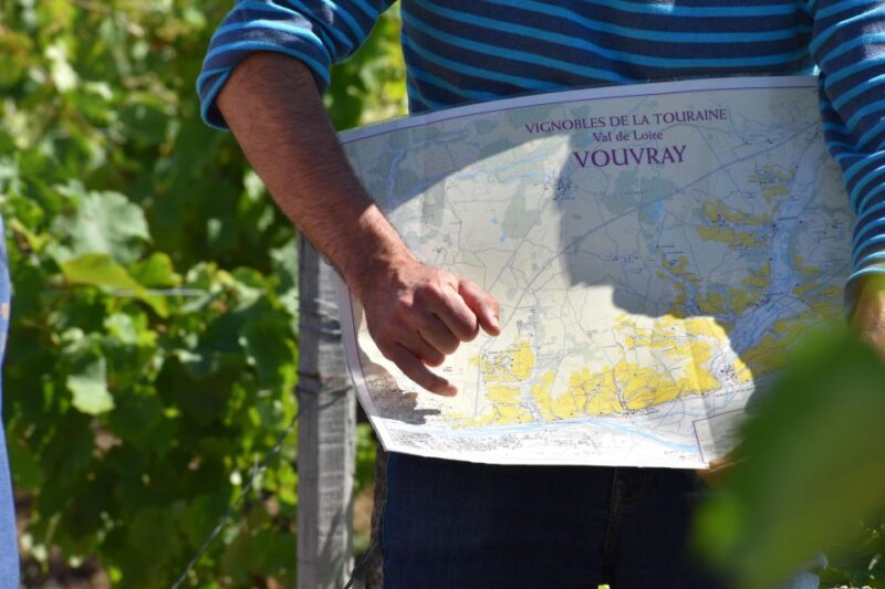 Morning - Loire Valley Wine Tour & Food Pairing, Vouvray - The Real Experience: What Travelers Say