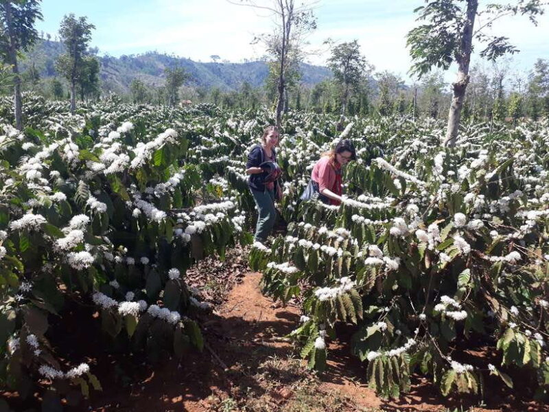 Motorcycle Tour - Countryside & Pongour Waterfall Day Tour - FAQs