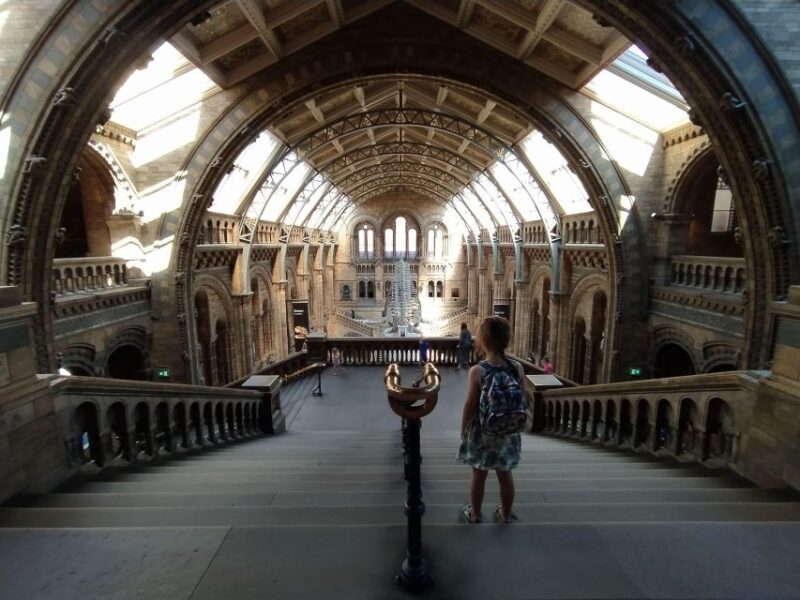 Natural Museum: Diplodocus to Blue Whale Wonders - The Itinerary: A Well-Structured Snapshot