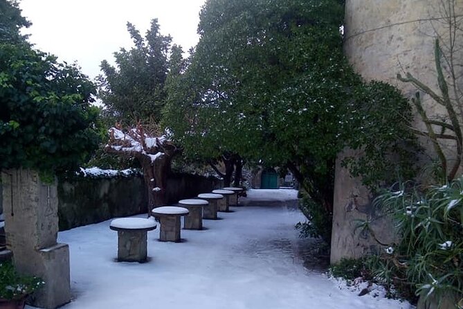 Nebrodi Medieval Day  Castle and Convent Tour (Private Experience) - Who Will Love This Tour?