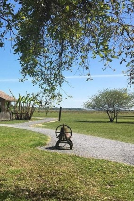 New Orleans: Oak Alley & Laura Plantation Tour w/Transport - Value and Price