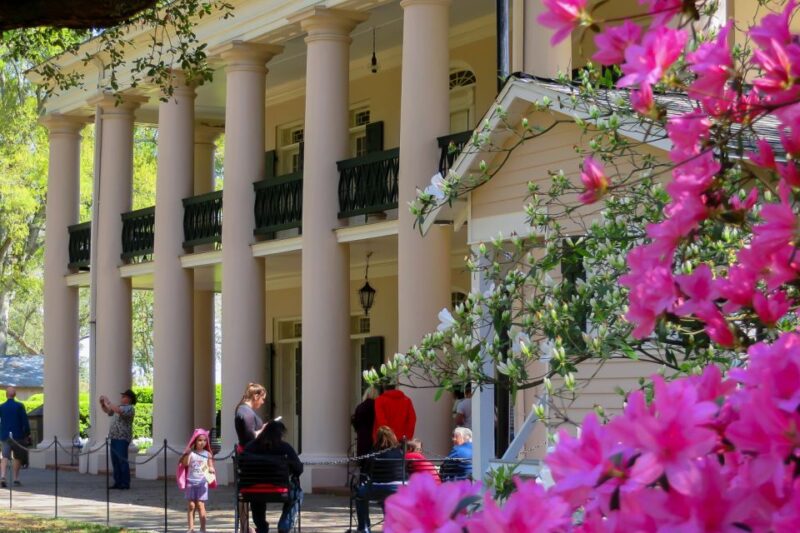 New Orleans: Oak Alley Plantation Tour with Transportation - Final Thoughts
