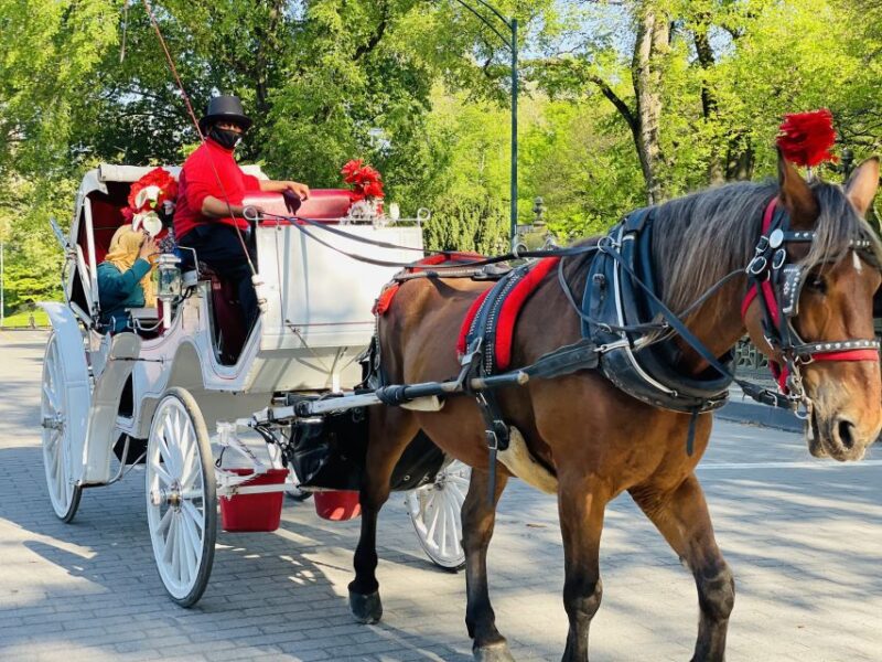 New York City: Central Park Private Horse and Carriage Tour - What to Expect During the Tour