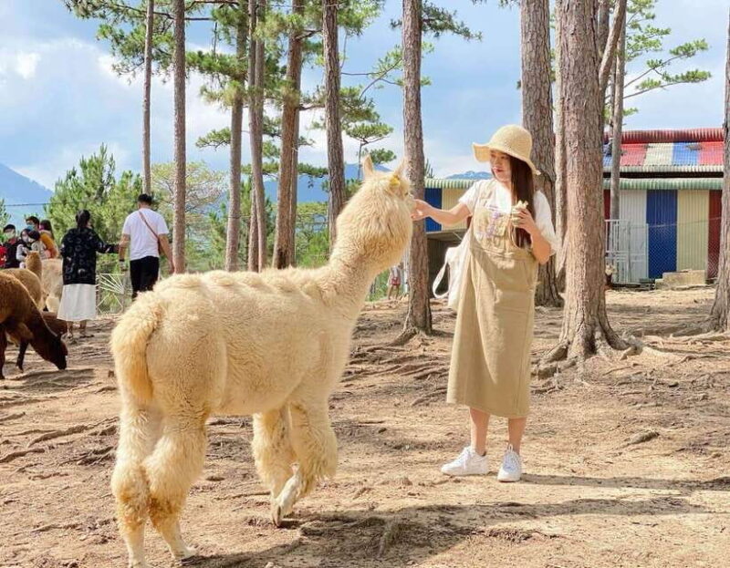 Nha Trang: 3-Day Tour with 4-Star Hotel and Meals - Who Is This Tour Best For?