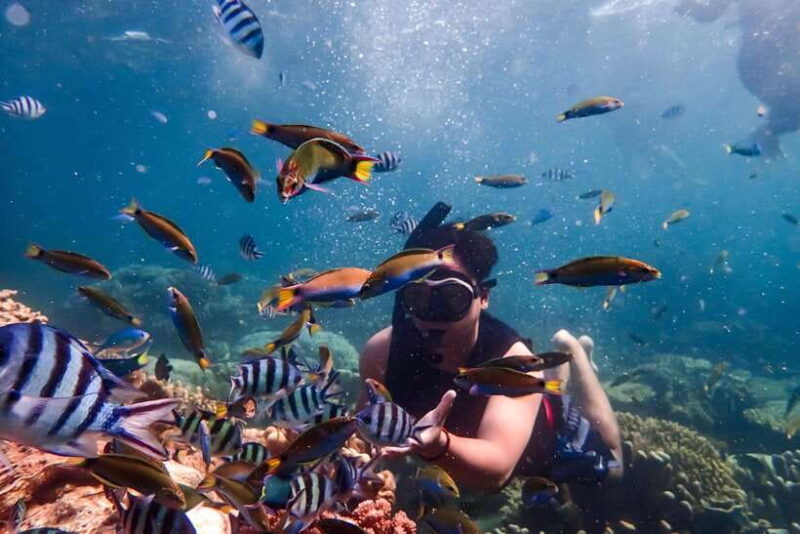 Nha Trang: Coral Reef Snorkeling, Mud Bath & Floating Bar - Who Should Consider This Tour?