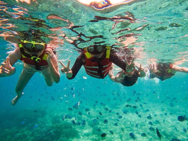 Nha Trang: Deluxe Ocean Tour With Snorkeling, BBQ & Mud Bath - Authentic Experiences and Guest Feedback