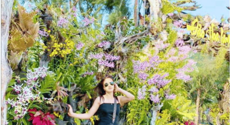 Nha Trang: Monkey Island with Orchids Island Combo Ticket - The Value and Practicalities