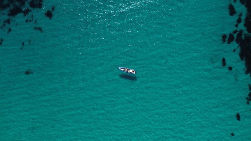 Nice: Lerins Islands Boat Tour with Snorkeling - Authentic Feedback from Travelers