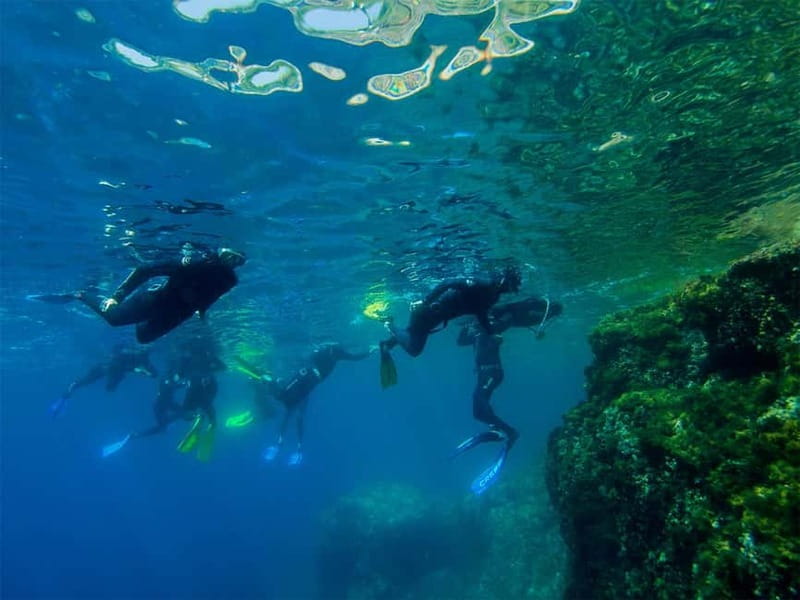 Nice: Snorkeling Speedboat Tour in Villefranche Bay - The Breakdown of the Itinerary