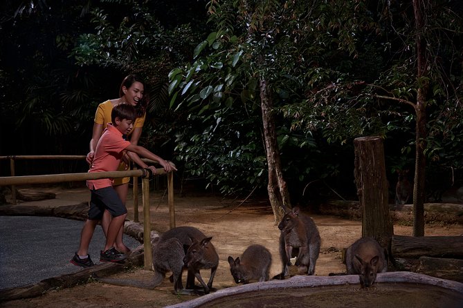 Night Safari with Buffet Dinner with hotel pick-up - Authenticity & Cultural Demos