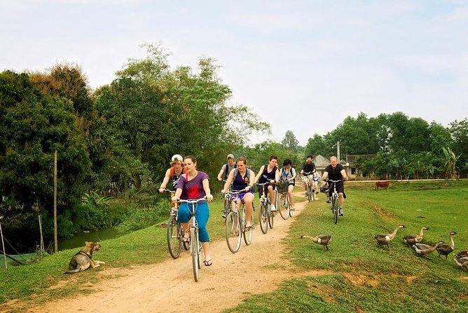 Ninh Binh - Bai Dinh - Trang An full day trip from Hanoi with luxury transfers - Practical Details and Tips