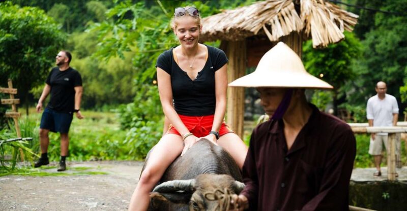 Ninh Binh: Buffalo riding, rice planting group tour - Practical Tips for Participants