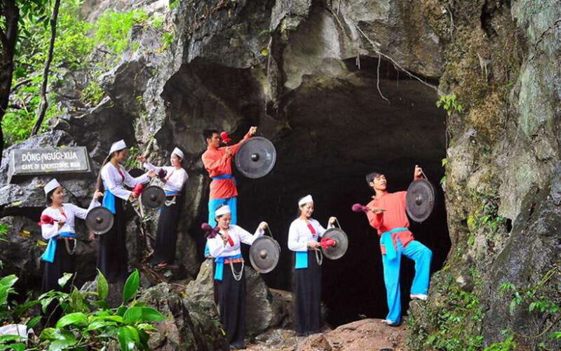 Ninh Binh: Cuc Phuong National Park Day Trip with Lunch - Who Should Consider This Tour?